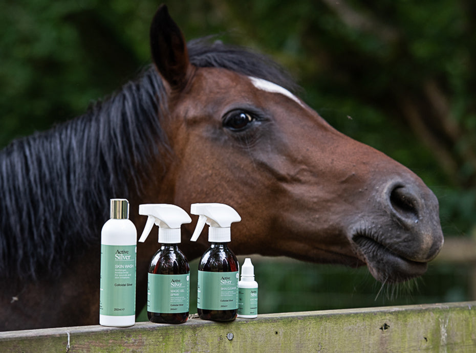 Active Silver | Colloidal Silver | General Health Animal Care