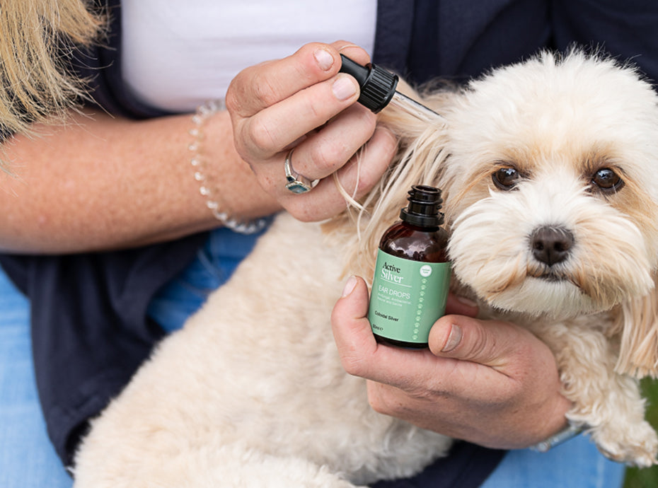 Active Silver | Colloidal Silver | Ears & Eyes Pet Care