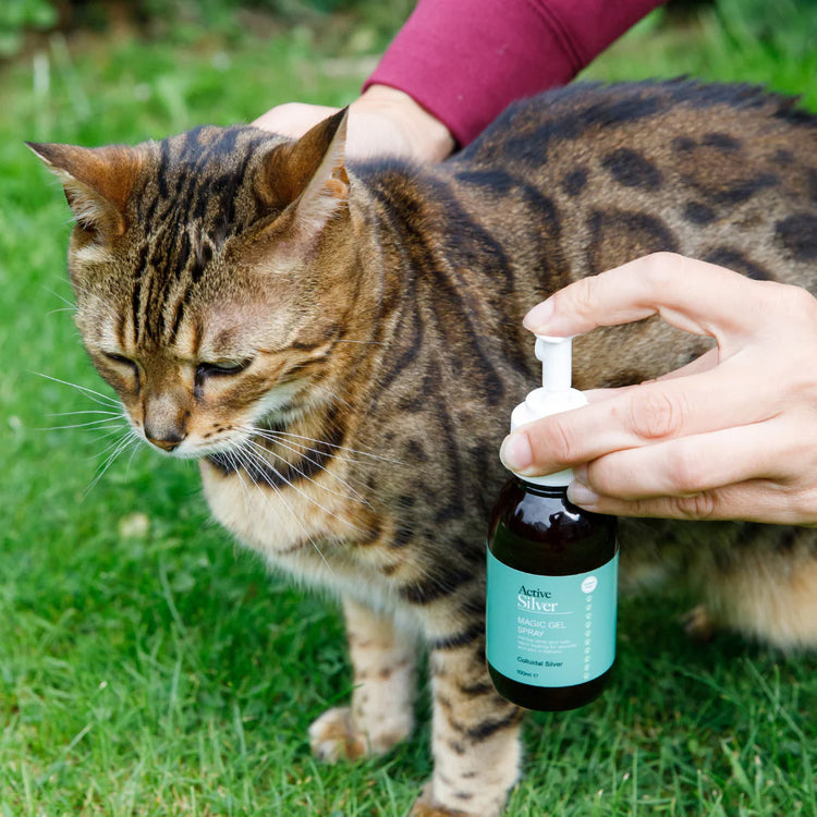 Active Silver | Colloidal Silver | Animal Care Collection